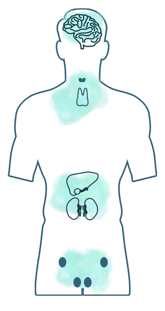 Zone Technique in Denton, TX - The Spinal Decompression & Chiropractic ...