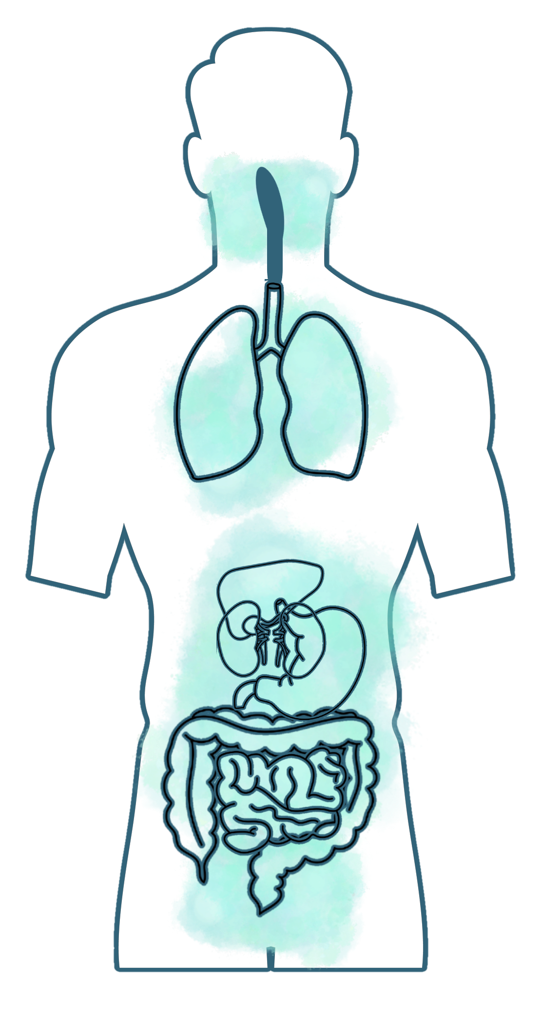 Zone Technique in Denton, TX - The Spinal Decompression & Chiropractic ...